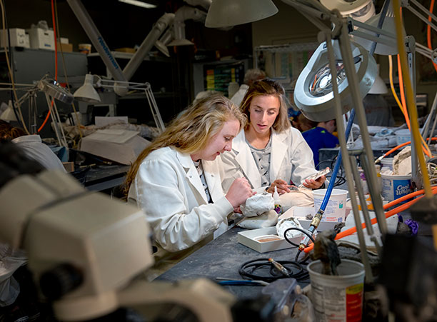 Learning Outside the Classroom at Holy Cross | Holy Cross Magazine