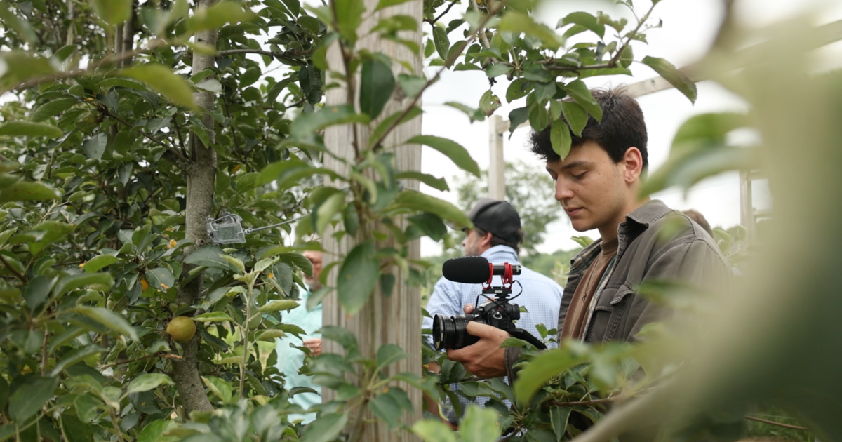 Documenting How Climate Change Affects Apples | Holy Cross Magazine