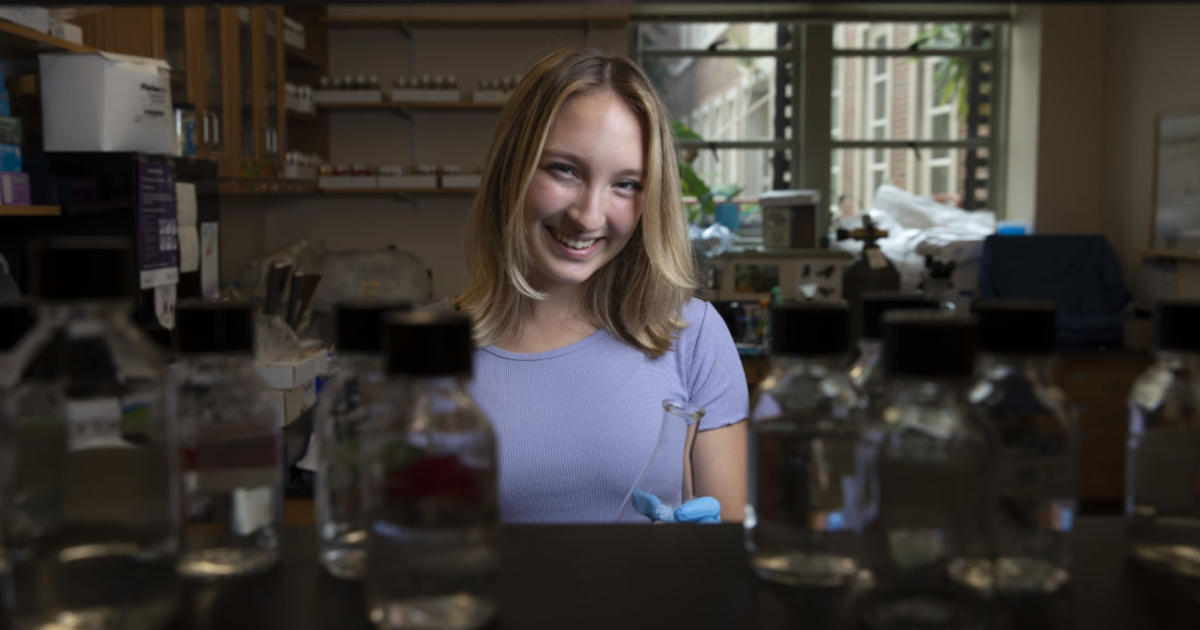 New Genes Make a Big Impact on Fruit Fly Fertility | Holy Cross Magazine