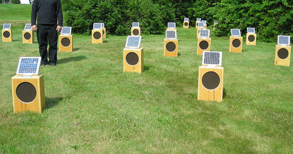 The Cantor Art Gallery Presents 'Sun Boxes' at the Hogan Campus Center ...