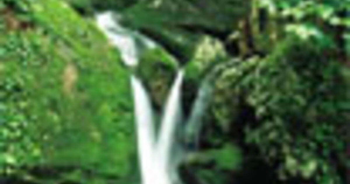 Lecture Series Addresses the Environment in the Present Tense | Holy ...