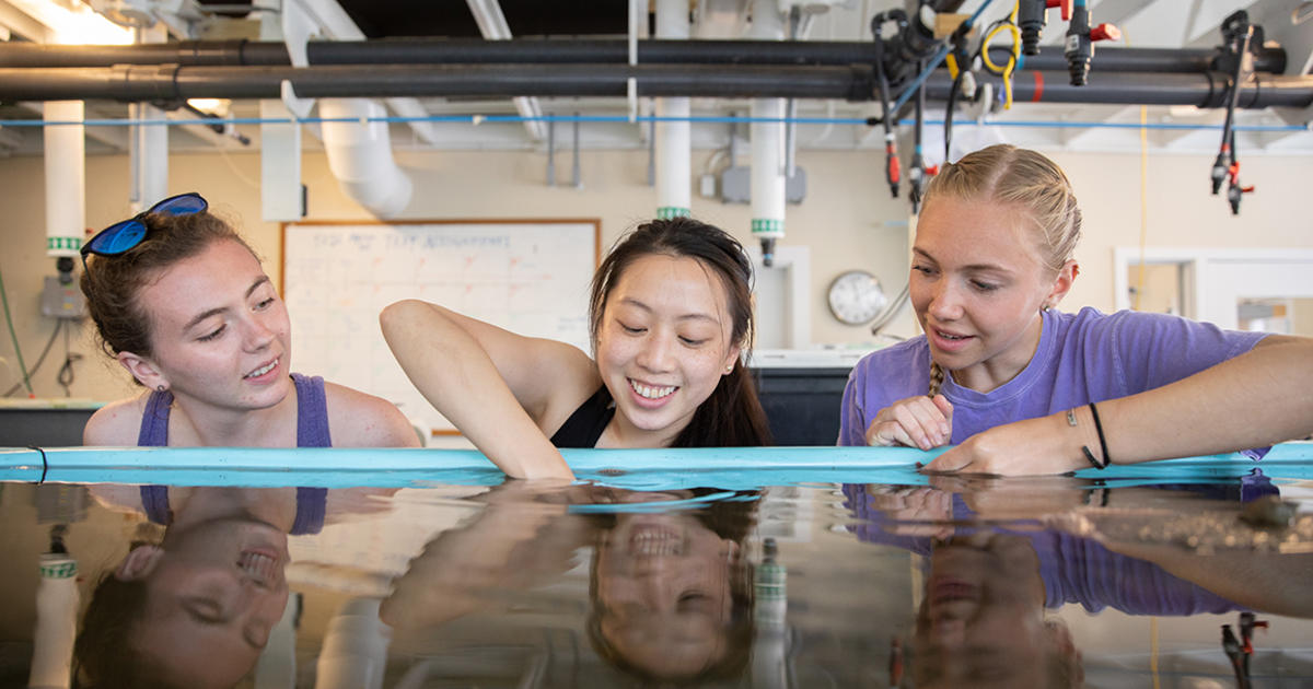 Exploring the Sea: Marine Biology Research in Maine | Holy Cross Magazine