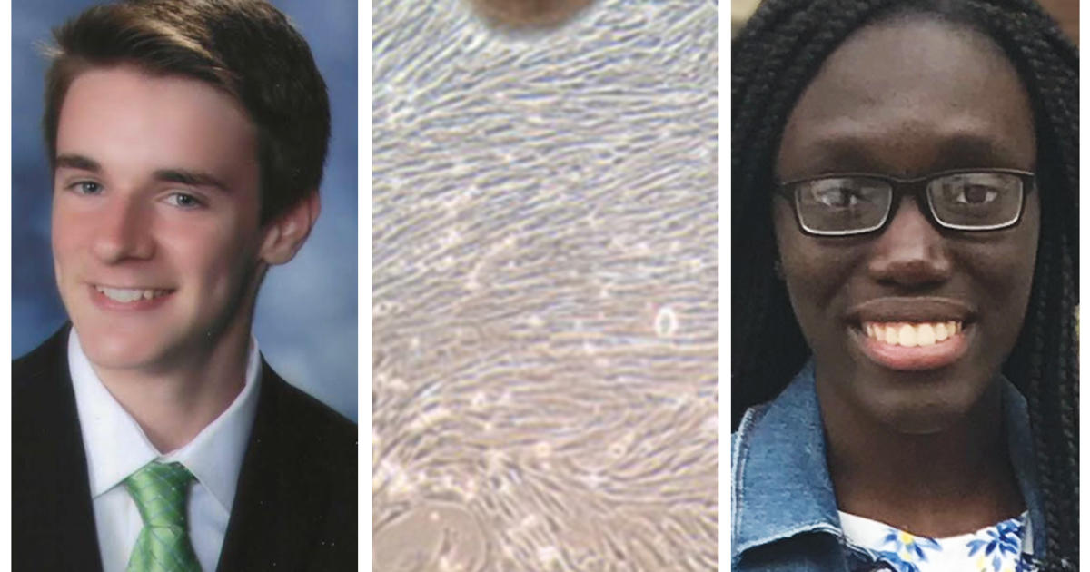 Lab Partners Research Canine Stem Cells—Holy Cross Student Summer ...