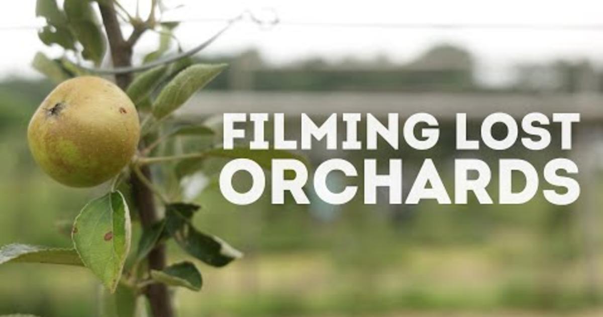 Documenting How Climate Change Affects Apples | Holy Cross Magazine