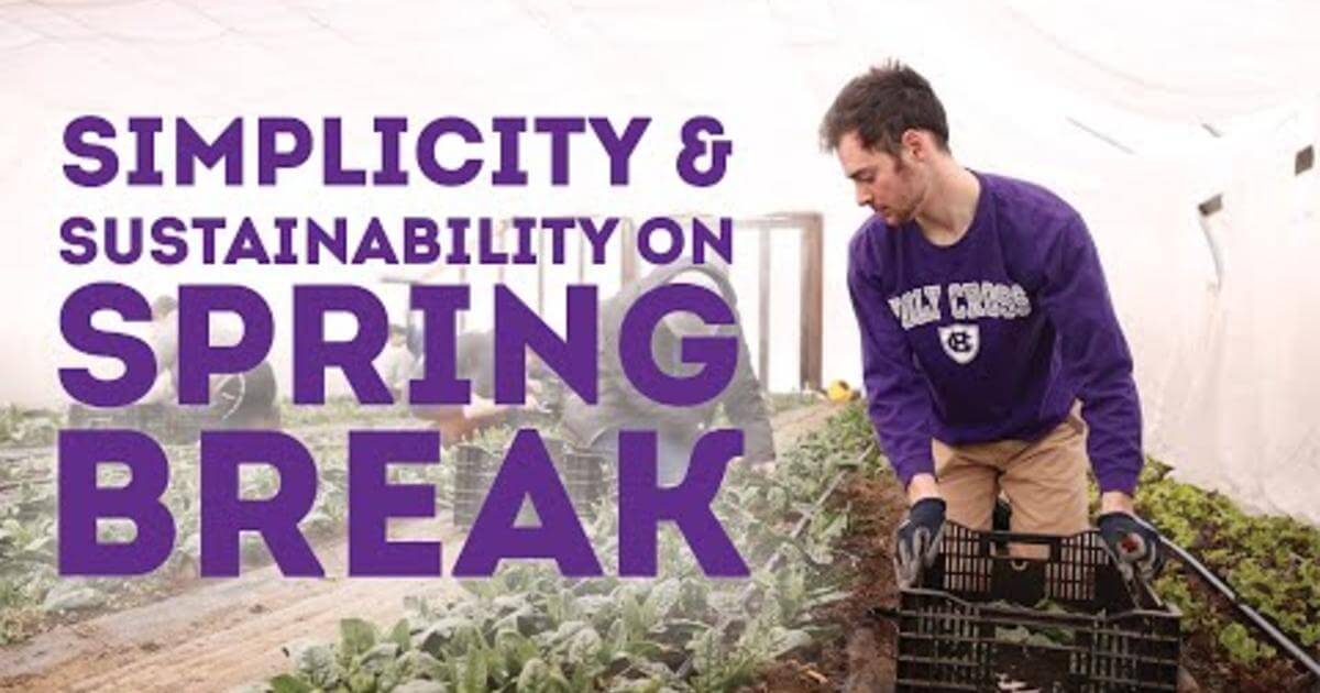 An Immersive Week of Simplicity and Sustainability on Sun Moon Farm ...