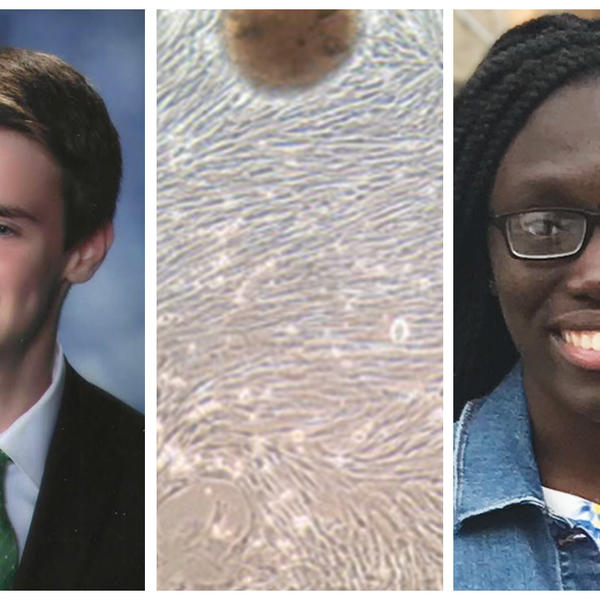 Lab Partners Research Canine Stem Cells—Holy Cross Student Summer ...